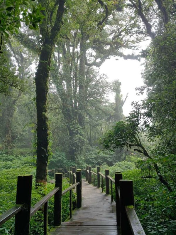 Chiang Mai : Doi Inthanon National Private Tour for Couples - The Sum Up