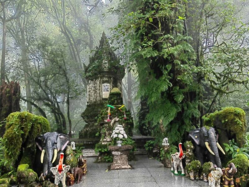 Chiang Mai : Doi Inthanon National Private Tour for Couples - FAQ