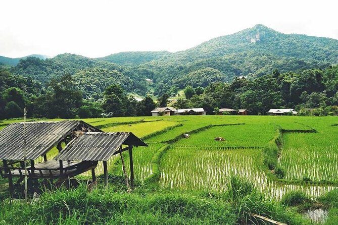 CHIANG MAI: Doi Inthanon NationPark-Royal Project-Waterfall-Lunch - Conclusions: Who’s This Tour For?