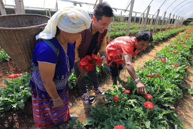 CHIANG MAI: Doi Inthanon NationPark-Royal Project-Waterfall-Lunch - FAQ