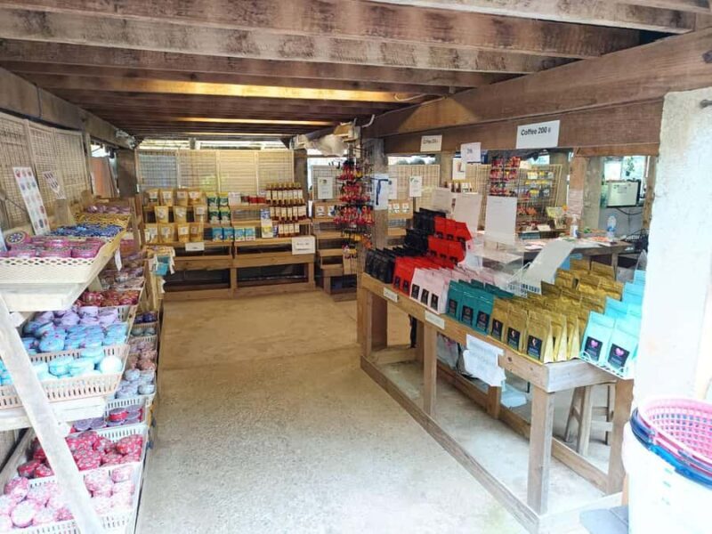 Chiang Mai: Doi Inthanon One-Day Tour with a Private Driver - A Detailed Look at the Experience