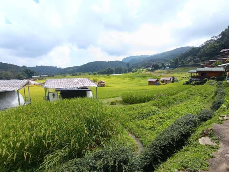 Chiang Mai: Doi Inthanon One-Day Tour with a Private Driver - The Sum Up