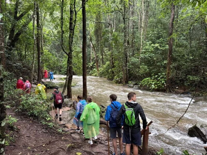 Chiang Mai: Doi Inthanon Park & 2 Hrs Trekking Pha Dok Siew - The Journey to the Highest Peak
