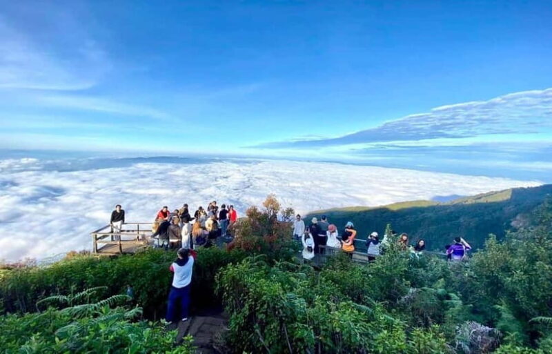 Chiang Mai: Doi Inthanon Park and Kew Mae Pan 2-Hour Hike - The Itinerary – What Youll Experience in Detail