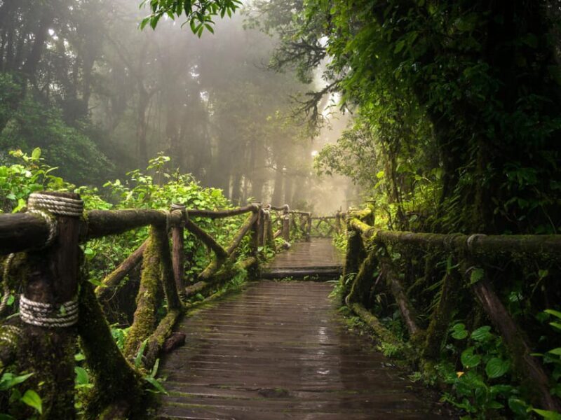 Chiang Mai: Doi Inthanon Park and Pha Dok Siew Trail Trek - FAQs