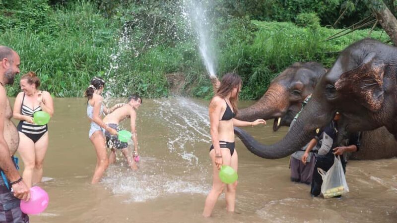 Chiang Mai: Doi Inthanon Park Hiking & Elephants Sanctuary - What This Tour Offers: A Balanced Mix of Nature and Culture