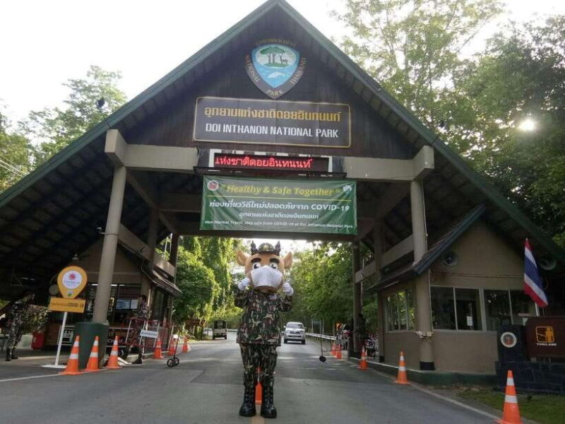 Chiang Mai: Doi Inthanon Park Tour & Kew Mae Pan Trail Hike - Waterfalls and Scenic Vistas