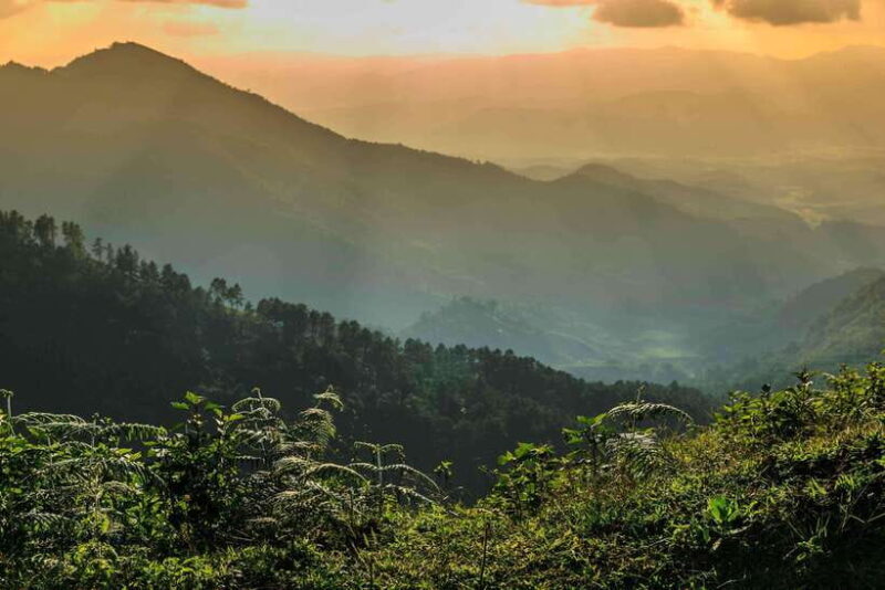 Chiang Mai: Doi Inthanon Park Tour & Kew Mae Pan Trail Hike - Who Will Appreciate This Tour?