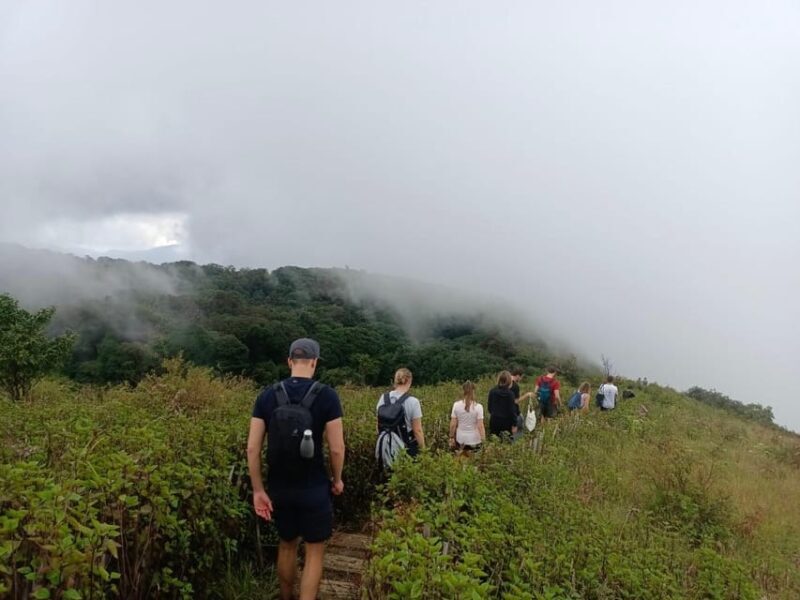 Chiang Mai: Doi Inthanon Park with Kew Mae Pan Hike Day Trip - Frequently Asked Questions