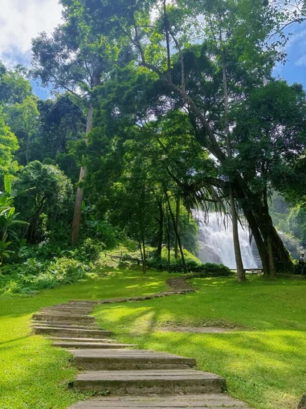 Chiang Mai Doi Inthanon Waterfall Tour Free Lunch & Ticket - A Full Breakdown: What to Expect from the Doi Inthanon Waterfalls Tour