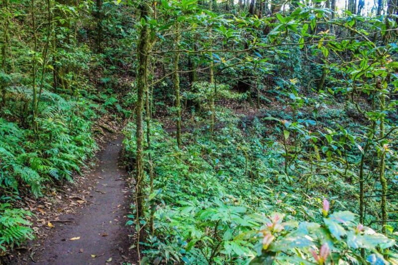 Chiang Mai: Doi Inthanon, Waterfalls, & Tribal Villages Tour - Who Is This Tour Best For?