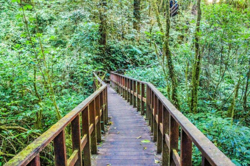 Chiang Mai: Doi Inthanon, Waterfalls, & Tribal Villages Tour - FAQs