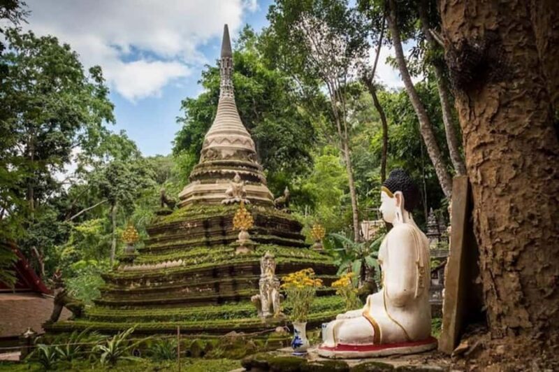 Chiang Mai: Doi Suthep 3 temples & Nature Café Guided Tour - The Sum Up