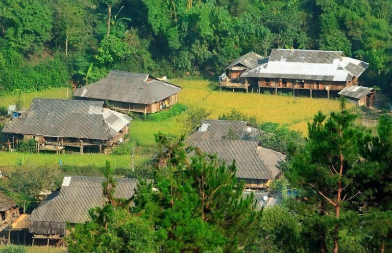 Chiang Mai: Doi Suthep and Hmong Village Half-Day Tour - Key Points