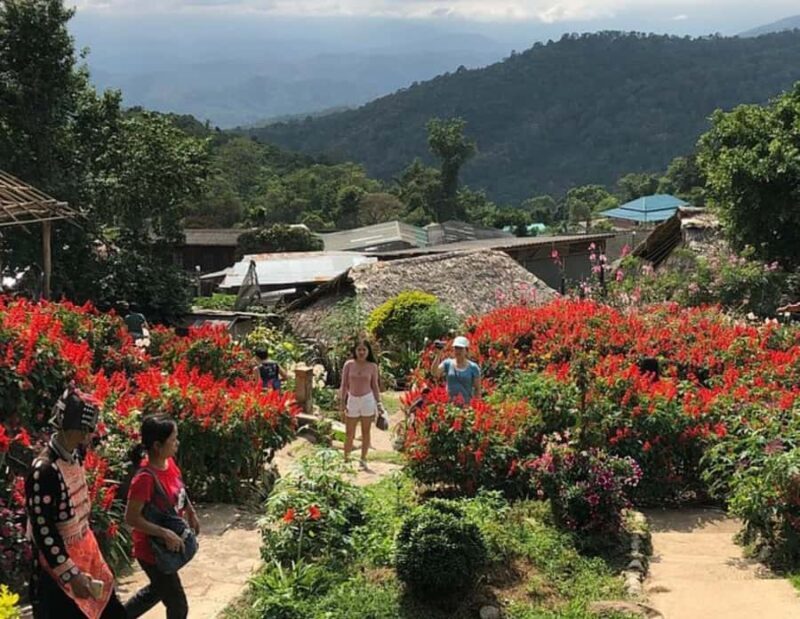 Chiang Mai: Doi Suthep Private Highlights (No Hiking) - Why This Tour Is a Great Choice