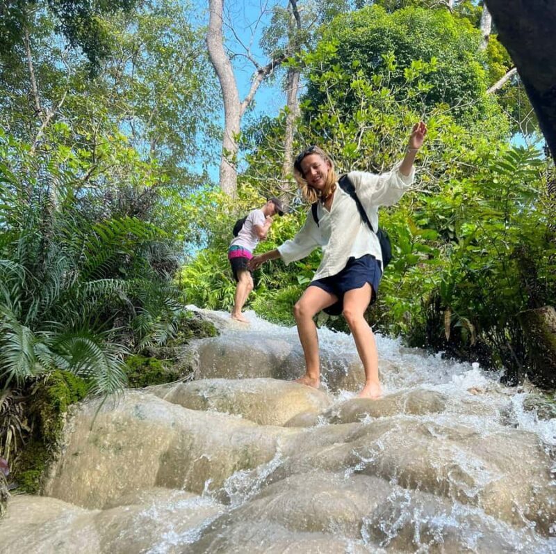 Chiang Mai: Doi Suthep Temple & Sticky Waterfall Trip - A Day in Chiang Mai: What to Expect