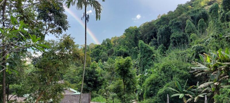 Chiang Mai: Doi Suthep Temple & Sticky Waterfall Trip - The Sum Up