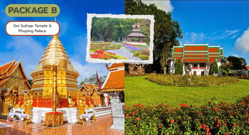 Chiang Mai: Doi Suthep Temple Tour with Hill Tribe or Palace - Key Points