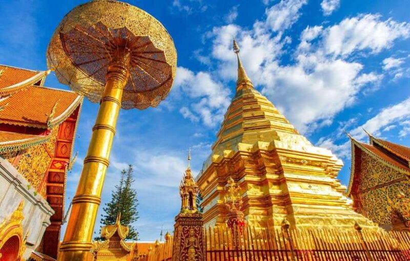 Chiang Mai - Doi Suthep Temple & Wat Pha Lat Hike - Detailed Breakdown: From Forest to Mountain Top