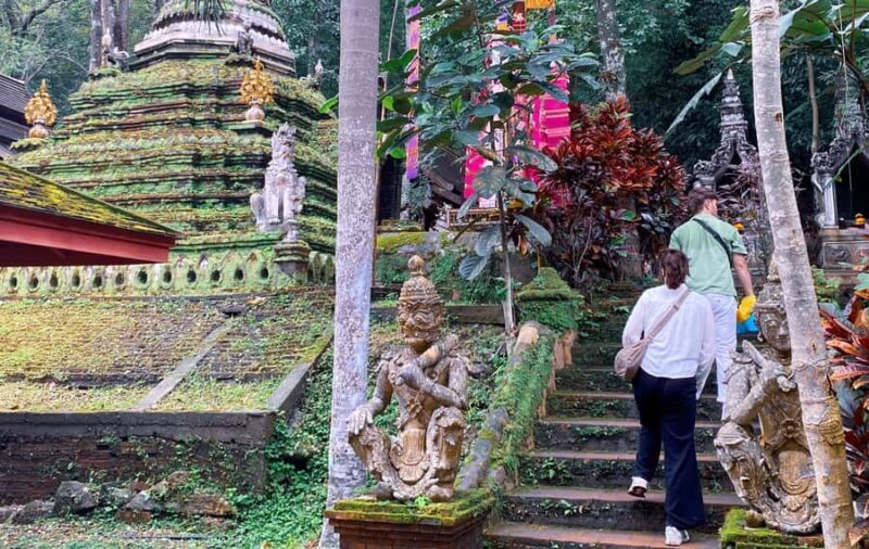 Chiang Mai: Doi Suthep, Wat Pha Lat & Michelin Food Tour - Who Should Consider This Tour?