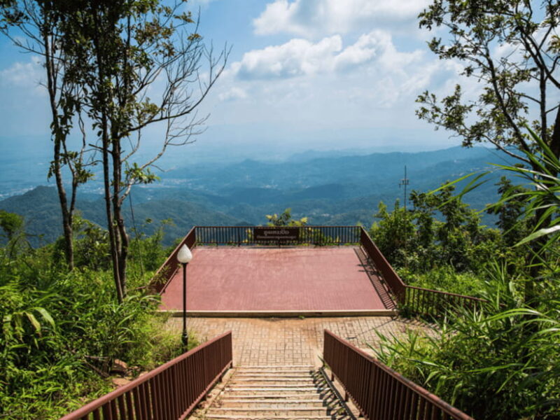 Chiang Mai: Doi Tung, Doi Mae, Salong Day Trip with Driver - What to Expect from the Tour