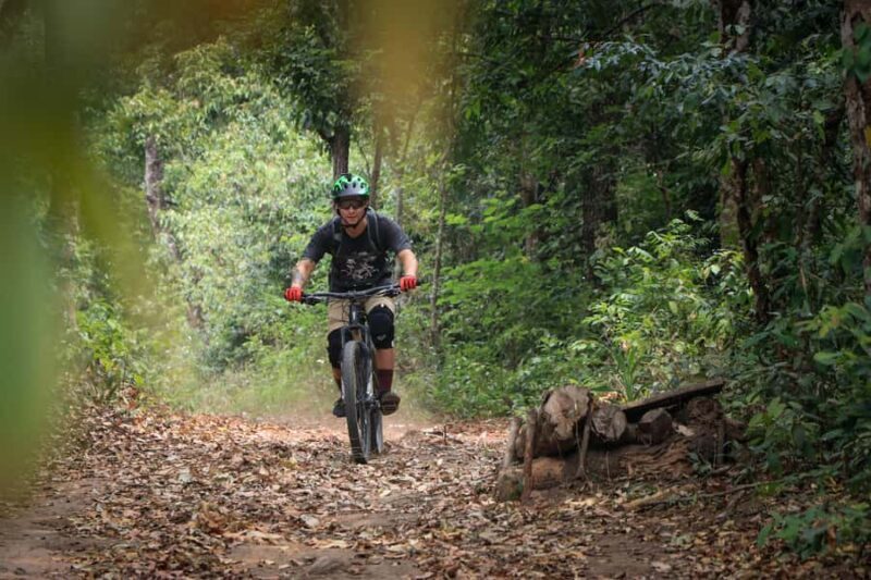 Chiang Mai: Downhill Mountain Biking Experience - Why This Tour Works for Different Travelers