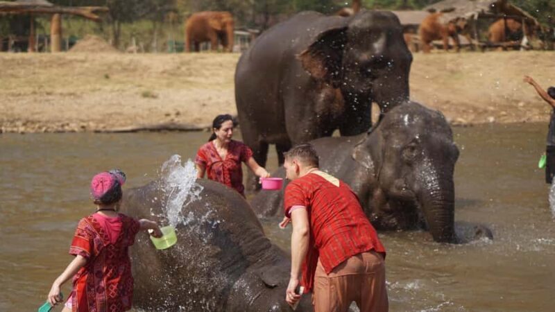 Chiang Mai: Elephant care & Long Neck &Sticky Waterfall Tour - Key Points