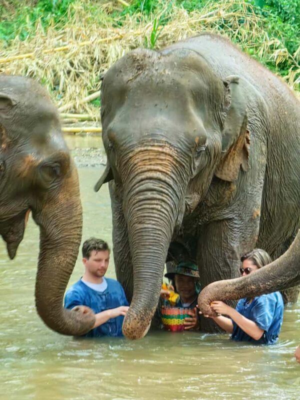 Chiang Mai : Elephant Care & Long necked village - Value and Overall Impression