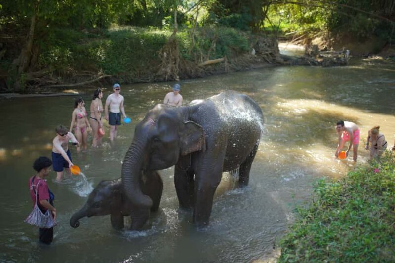 Chiang Mai: Elephant Care Mae Win&15 Ziplines-Tribe-Coffee - What This Tour Offers and Why It Matters