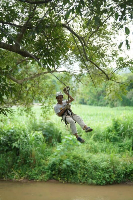 Chiang Mai: Elephant Care Mae Win&15 Ziplines-Tribe-Coffee - Who Will Love This Tour?