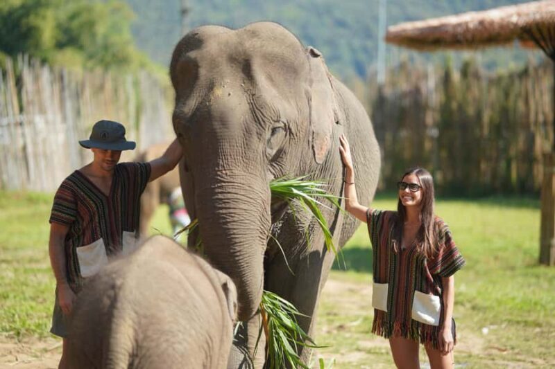 Chiang Mai: Elephant Care Mae Win&15 Ziplines-Tribe-Coffee - Final Thoughts
