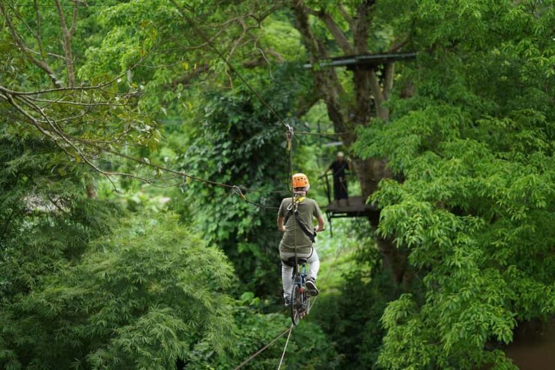 Chiang Mai: Elephant Care Mae Win&15 Ziplines-Tribe-Coffee - FAQ