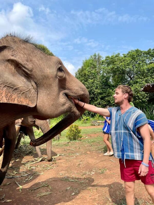 Chiang Mai: Elephant Dream Project Sanctuary - Full Day - FAQ