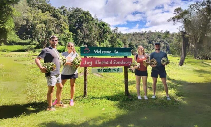 Chiang Mai: Elephant Observation & Wang River Bamboo Rafting - A Detailed Look at the Tour Experience
