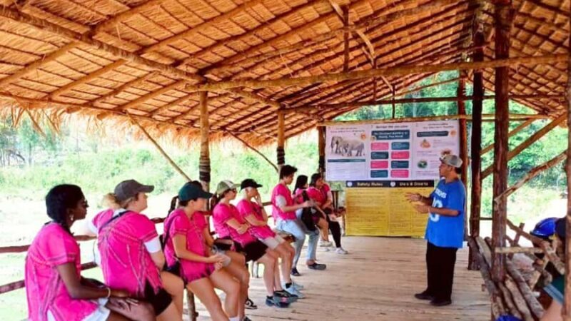 Chiang Mai: Elephant Observation & Wang River Bamboo Rafting - Final Thoughts