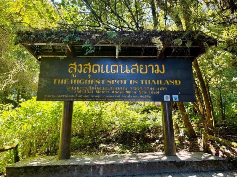 Chiang Mai Elephant Recovery Center, Doi Inthanon and Hiking - Who Should Consider This Tour?