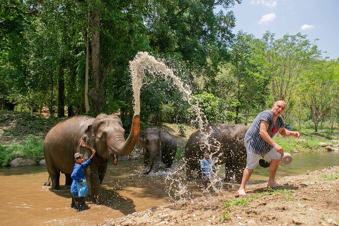Chiang Mai Elephant Sanctuary and Sticky Waterfall Day Tour - Introduction: What’s on Offer?