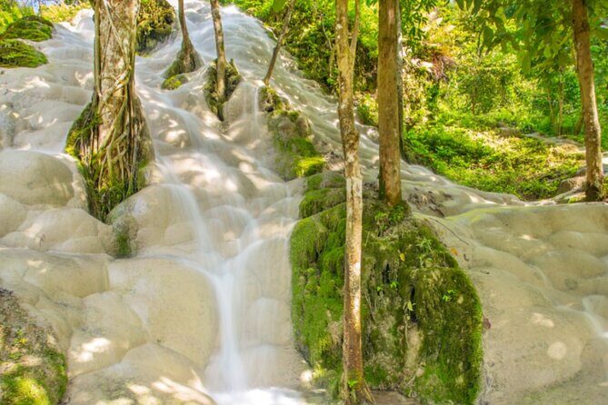 Chiang Mai Elephant Sanctuary and Sticky Waterfall Day Tour - Analyzing the Value