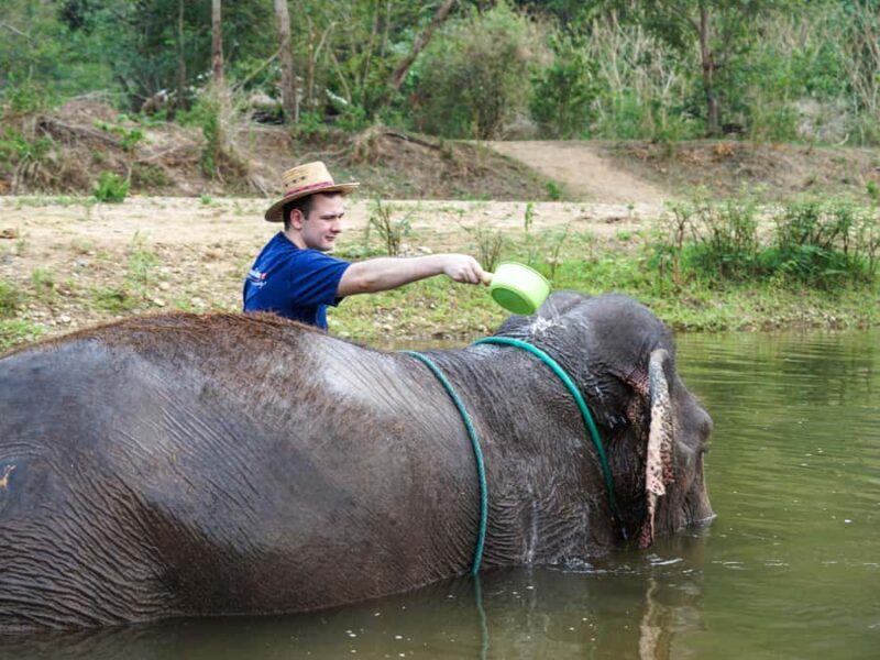 Chiang Mai: Elephant Sanctuary Experience & Doi Suthep Tour - Key Points