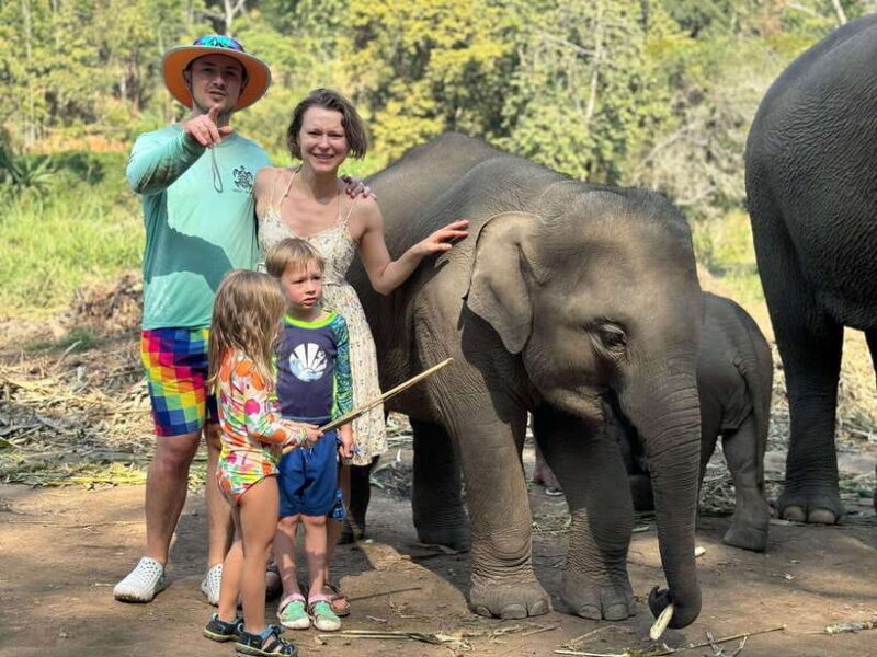 Chiang Mai: Elephant Sanctuary Feeding Program Half-Day Tour - FAQs