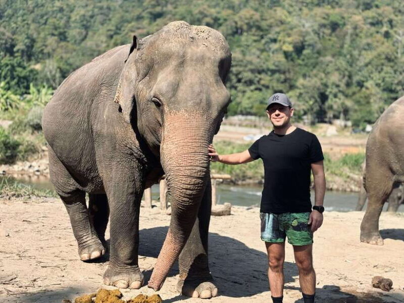 Chiang Mai: Elephant Sanctuary Feeding Program Half-Day Tour - Final Thoughts
