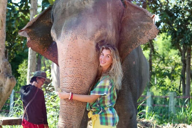 Chiang Mai: Elephant Sanctuary Guided Tour in Spanish - An In-depth Look at the Elephant Sanctuary Guided Tour