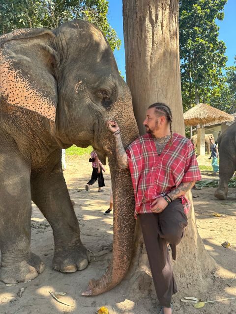 Chiang Mai: Elephant Sanctuary Guided Tour in Spanish - Who Will Love This Tour?