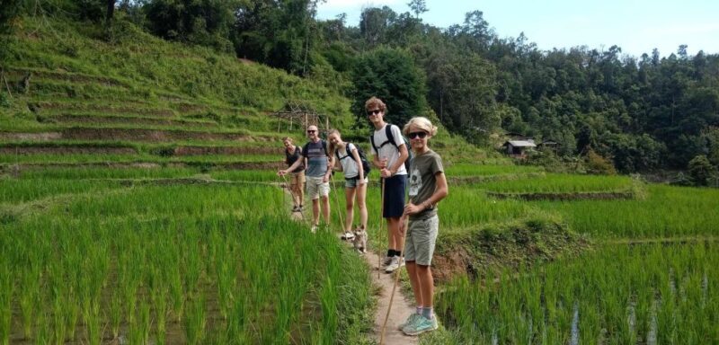 Chiang Mai: Elephant Sanctuary & Jungle Trek w/ Waterfall - Final Thoughts