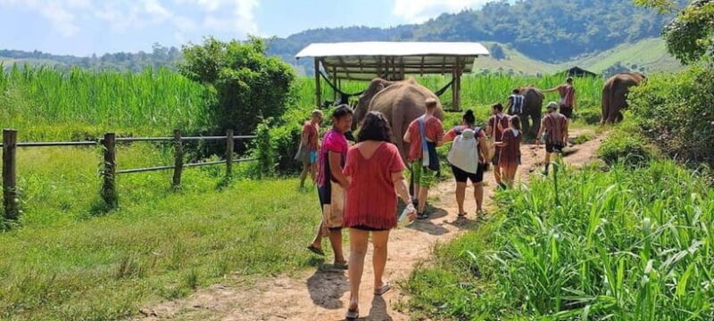 Chiang Mai: Elephant Sanctuary Local Hill Tribe Caretakers - Key Points