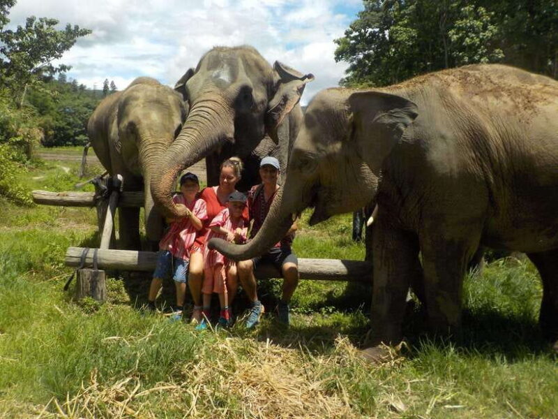 Chiang Mai: Elephant Sanctuary Local Hill Tribe Caretakers - Who Will Love This Tour?