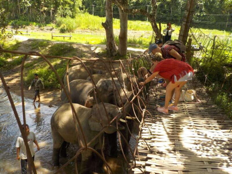 Chiang Mai: Elephant Sanctuary Local Hill Tribe Caretakers - Final Thoughts