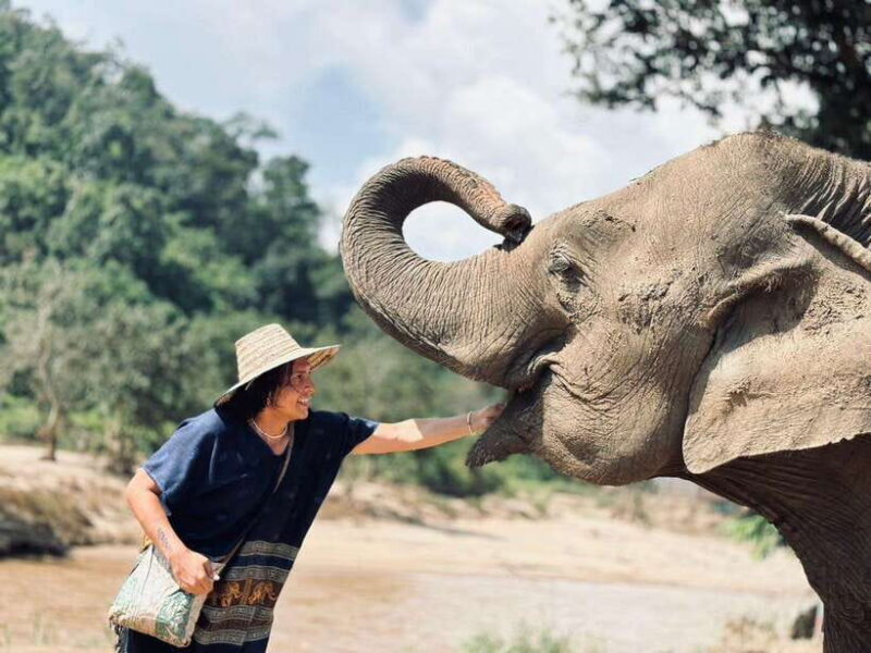 Chiang Mai: Elephant Sanctuary, Long Neck & Sticky Waterfall - Key Points