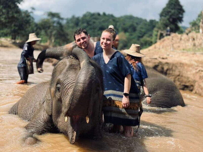 Chiang Mai: Elephant Sanctuary, Long Neck & Sticky Waterfall - The Itinerary: What to Expect From the Tour