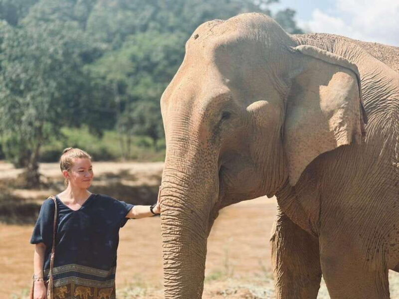 Chiang Mai: Elephant Sanctuary, Long Neck & Sticky Waterfall - Authentic Encounters: The Real Value